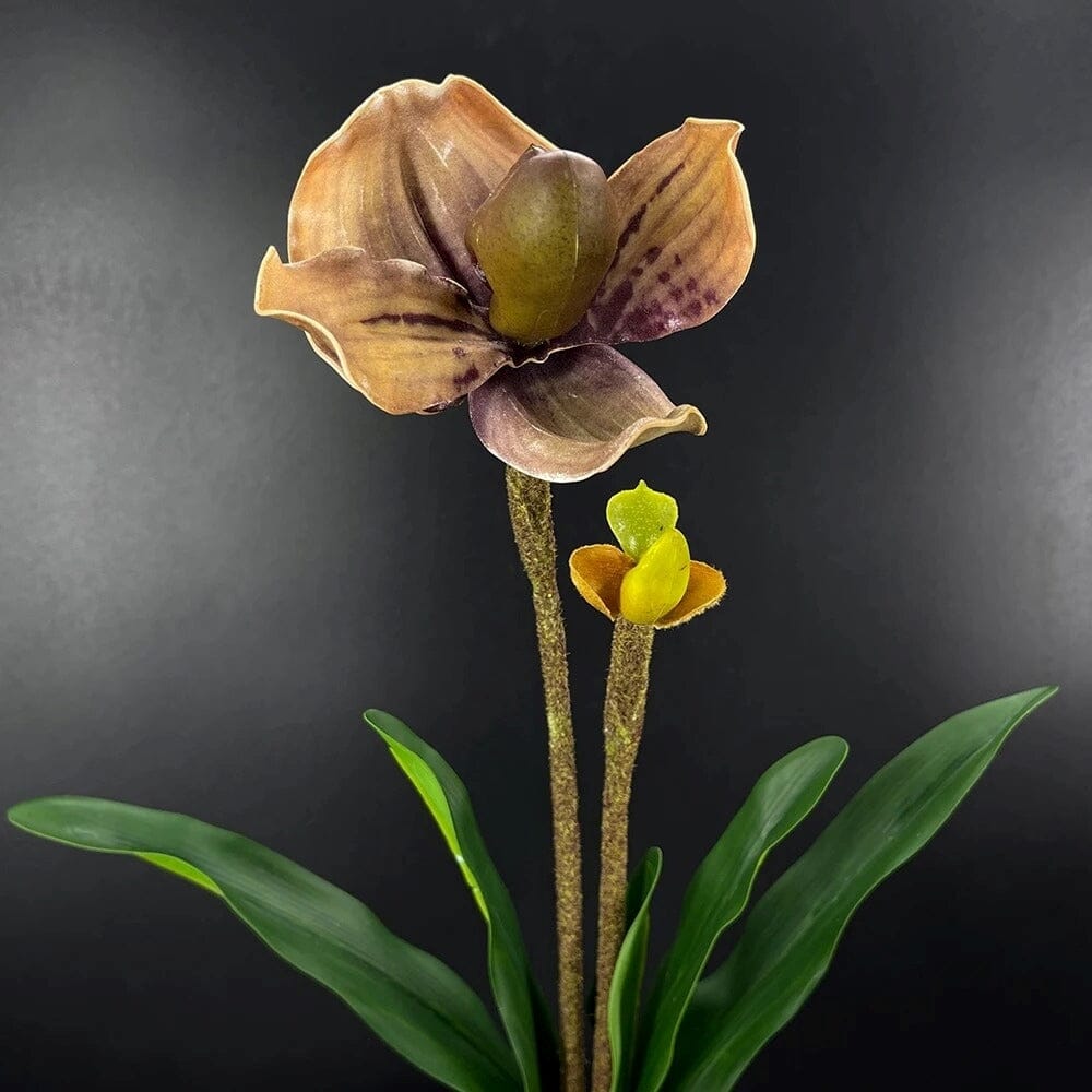 Orchidée Artificielle Paphiopedilum 48 cm, Marron – Horizon-Artificiel.com